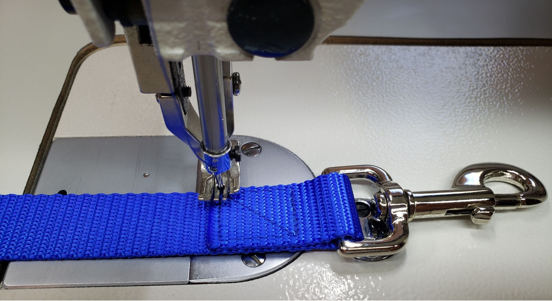 Strong Dog Leashes | Why Construction Methods Matter · The Exceptional ...